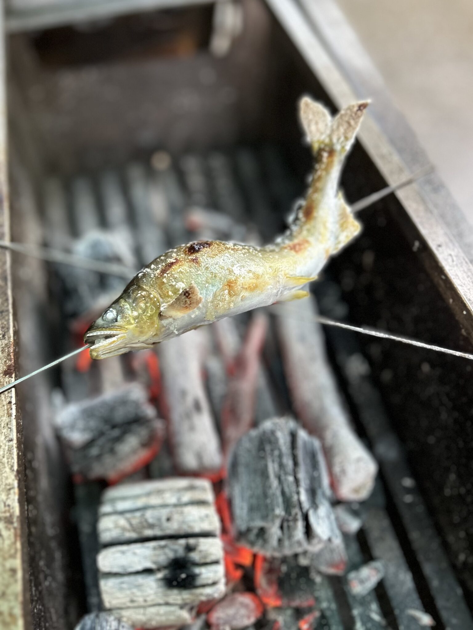 Ayu: Japan’s Beloved ”Fragrant Fish” – Its Charm and How to Enjoy It ...